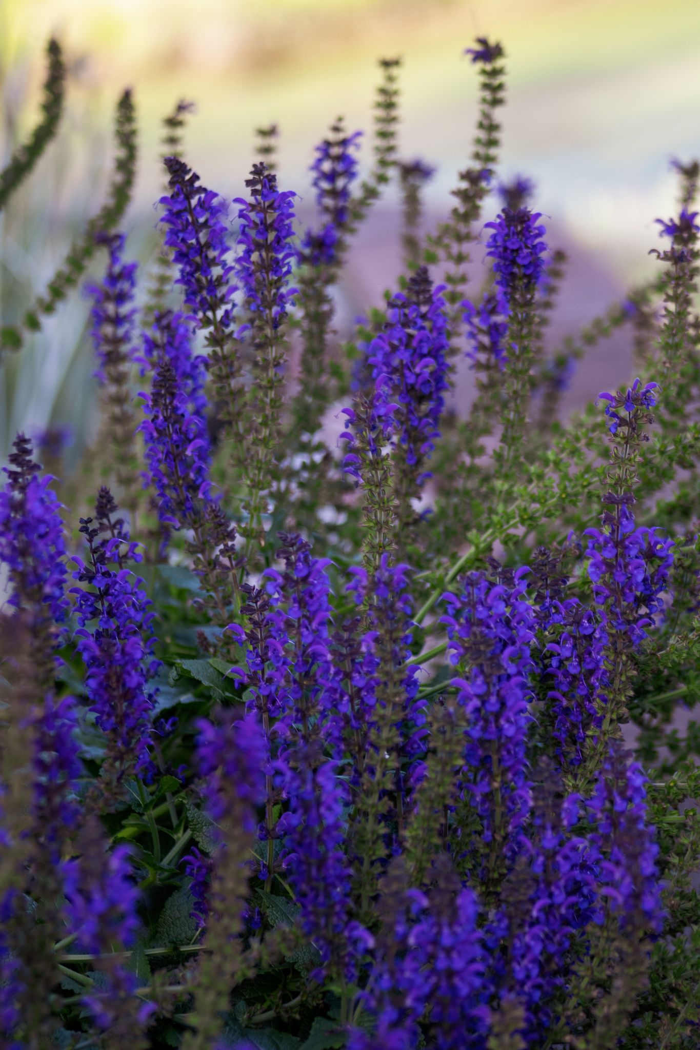 About - LM Photography