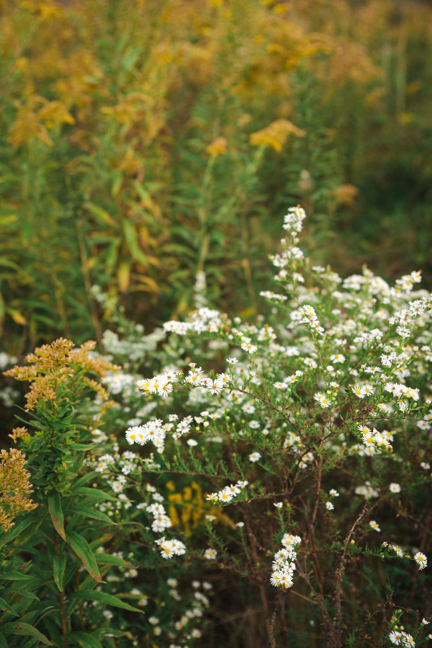 FAQ - Kenzie Phelps Photography