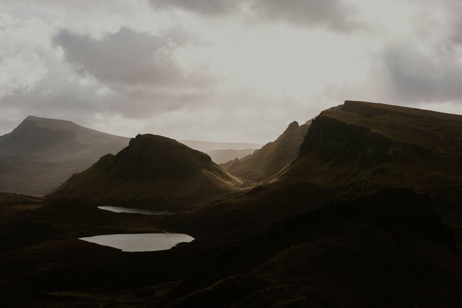 Sara Caron Photography