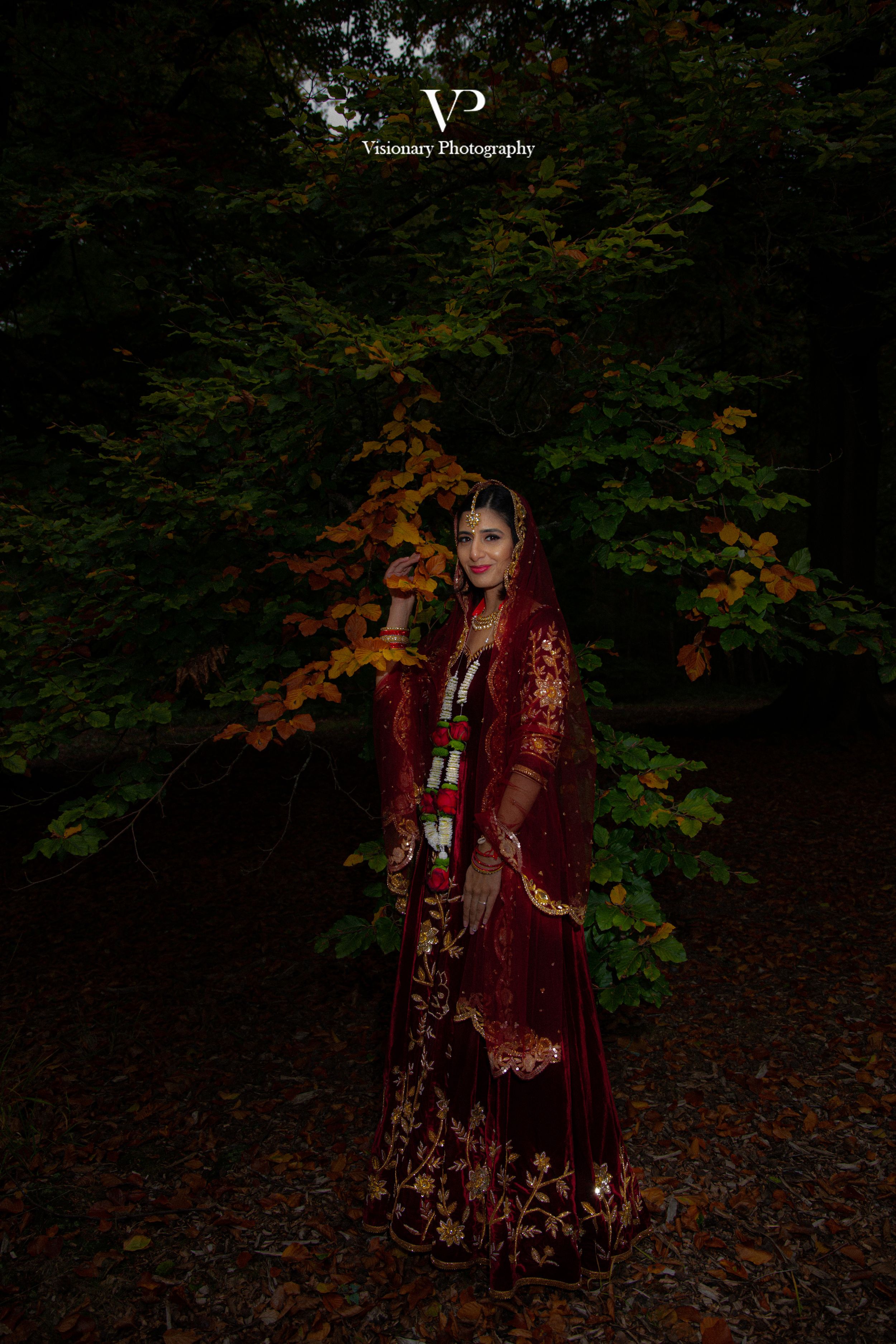 Preshoot and Portrait - Visionary Photography - Asian Wedding ...