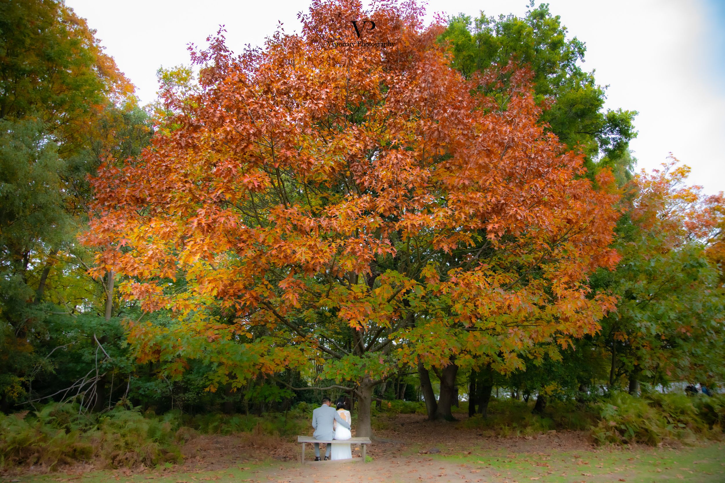 Preshoot and Portrait - Visionary Photography - Asian Wedding ...