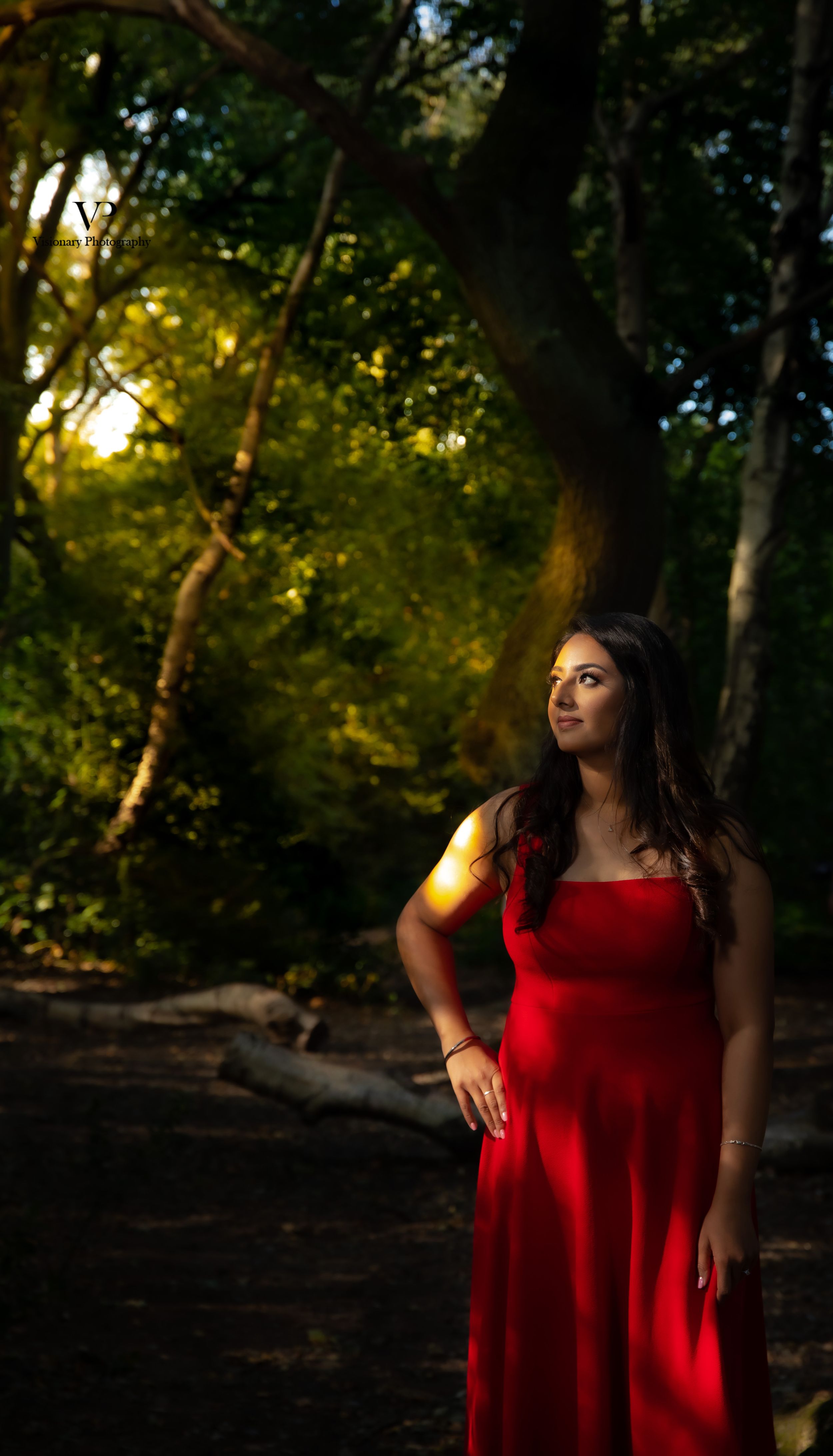 Preshoot and Portrait - Visionary Photography - Asian Wedding ...