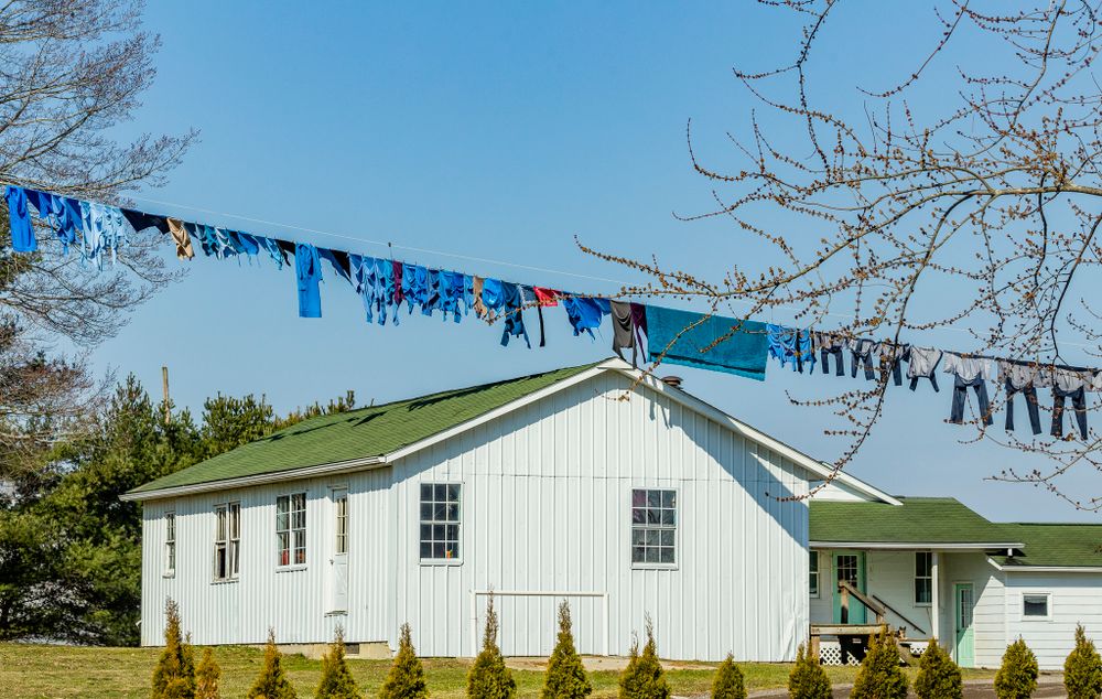Amish Flowers New Wilmington Pa | Best Flower Site