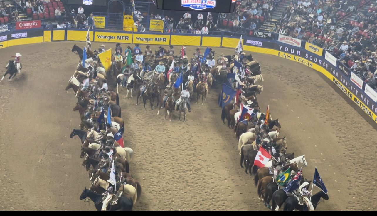 Where Have I Been? - Ace High Photography