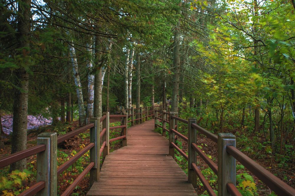 Gallery A Copy Copy - Emily Boehm Art & Photography