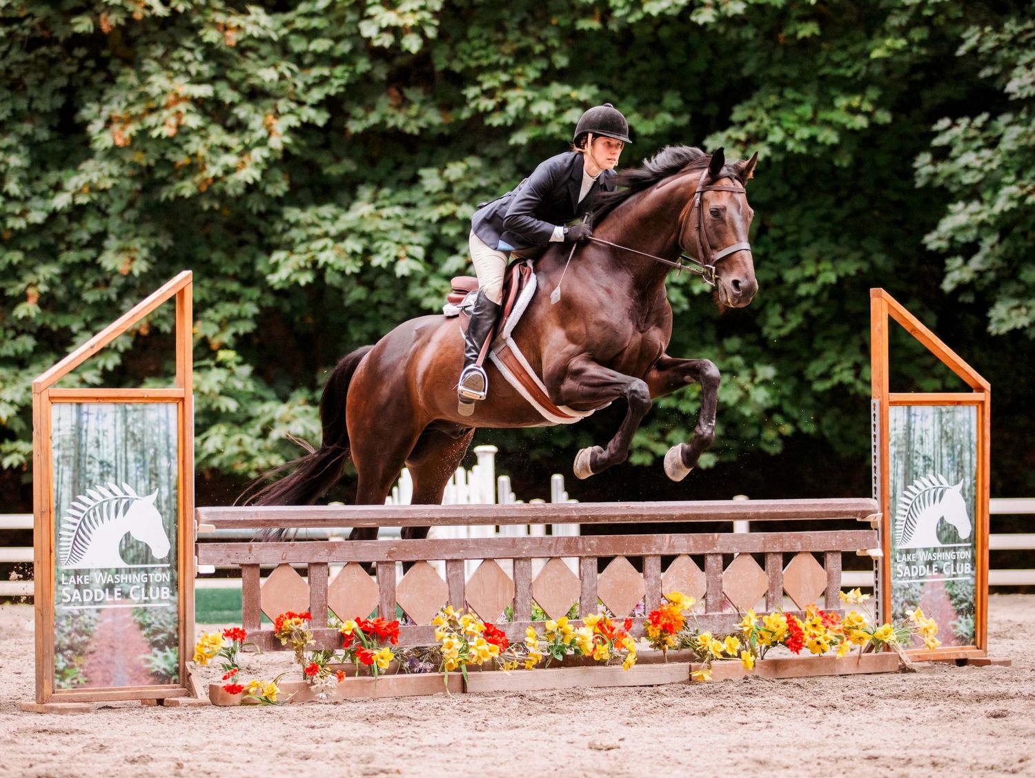 Shows & Events - Elliott Ralph Photography