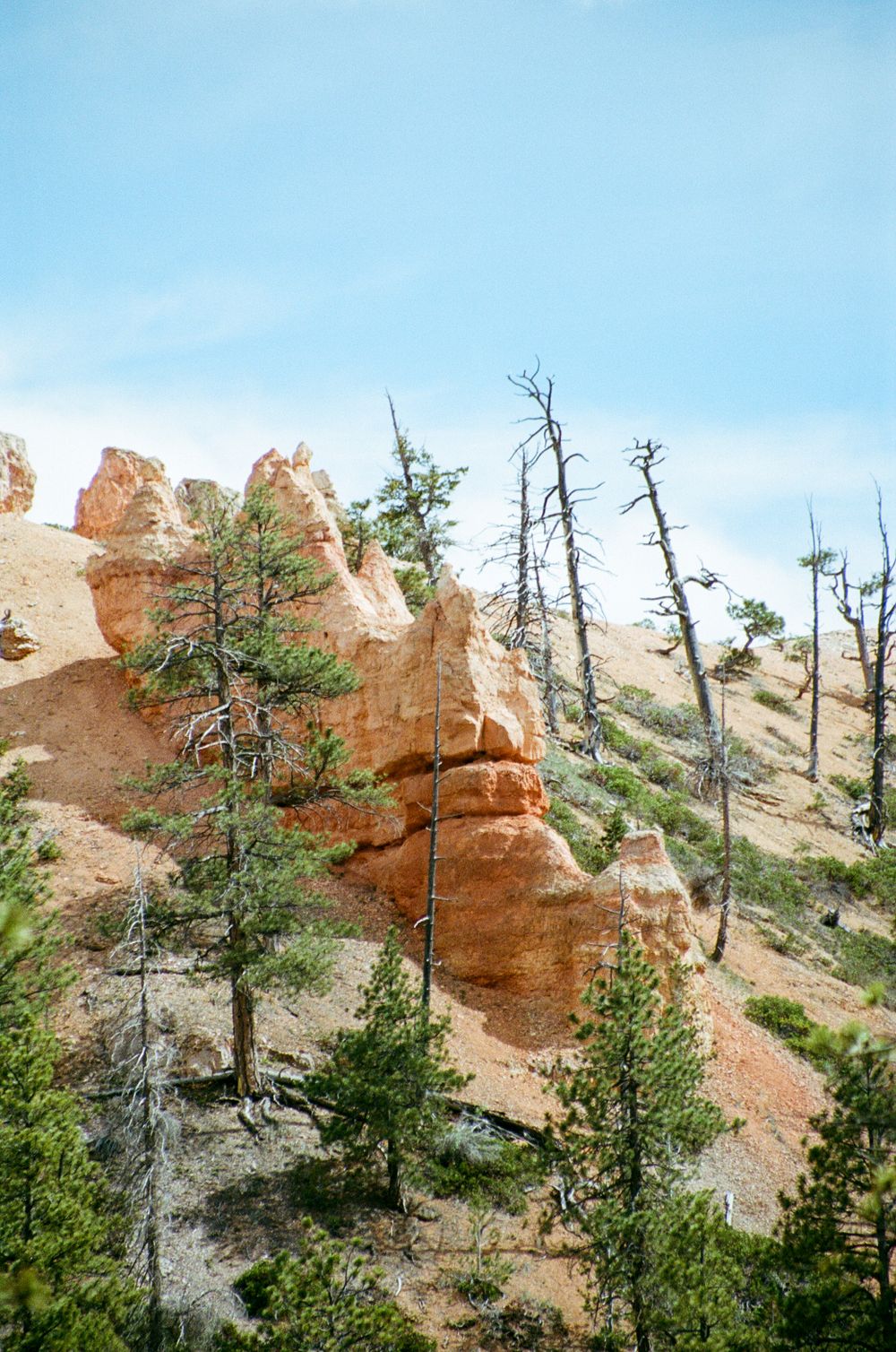 Paige in Zion - Mike Rees Photography