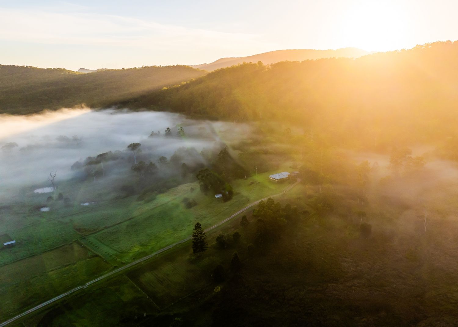 Contact - Joy Imaging