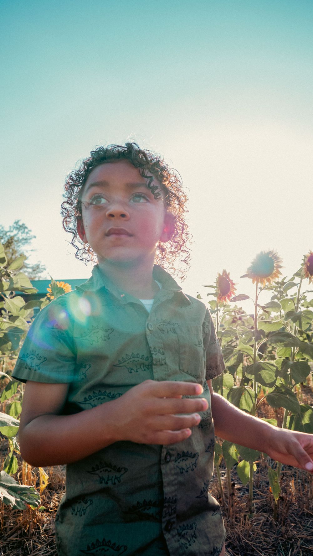 Patrick Barnes Photo & Video