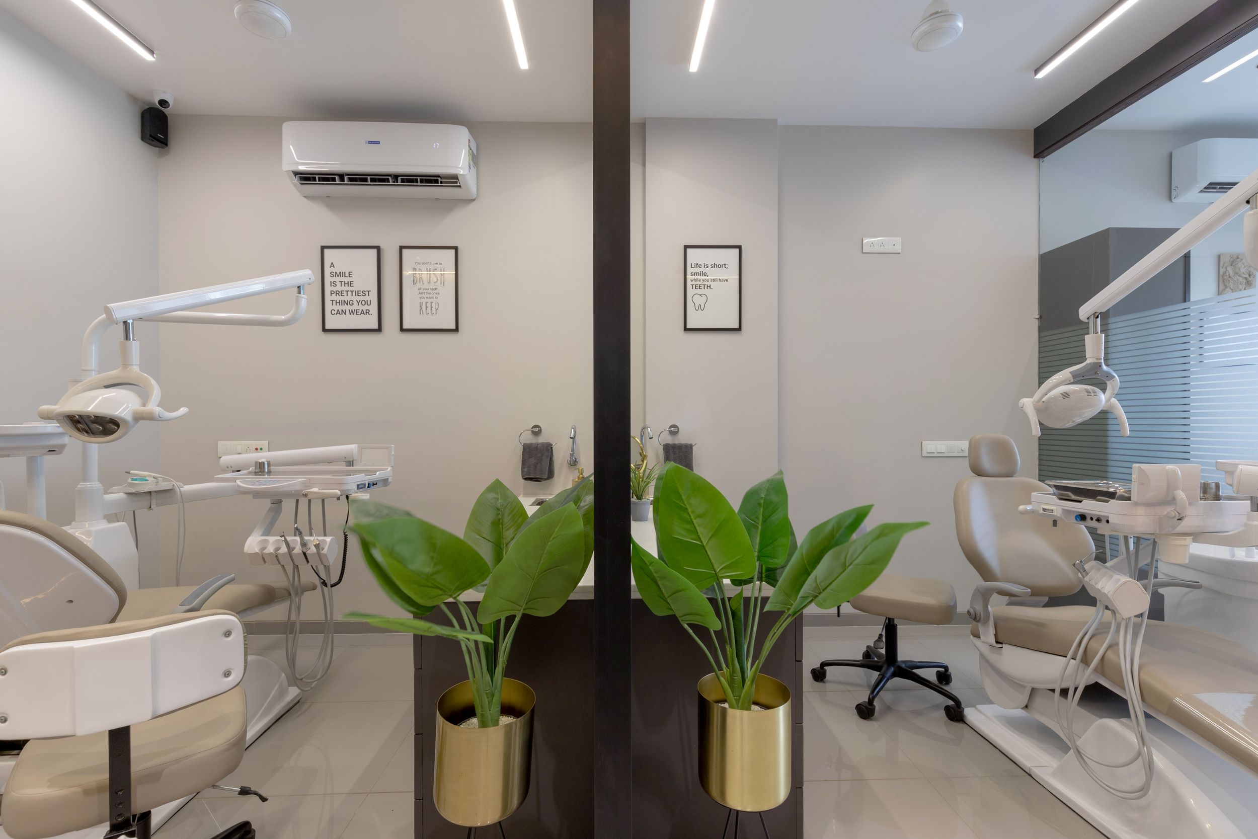 Gums and Ridges - Hidden Architects