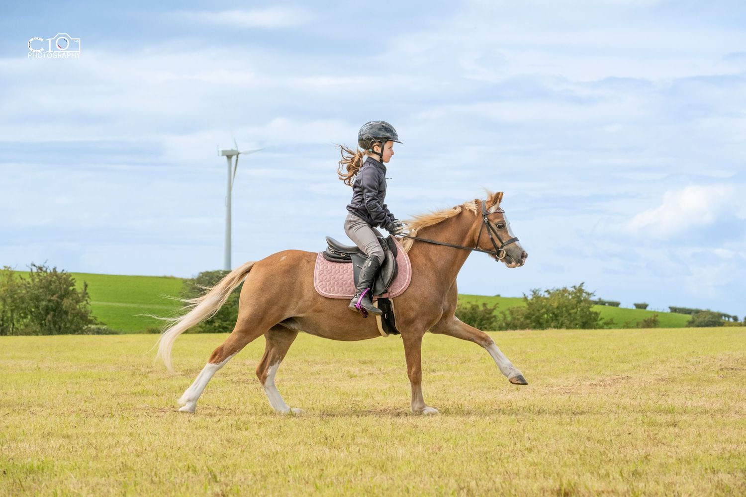 Equestrian - C10 Photography