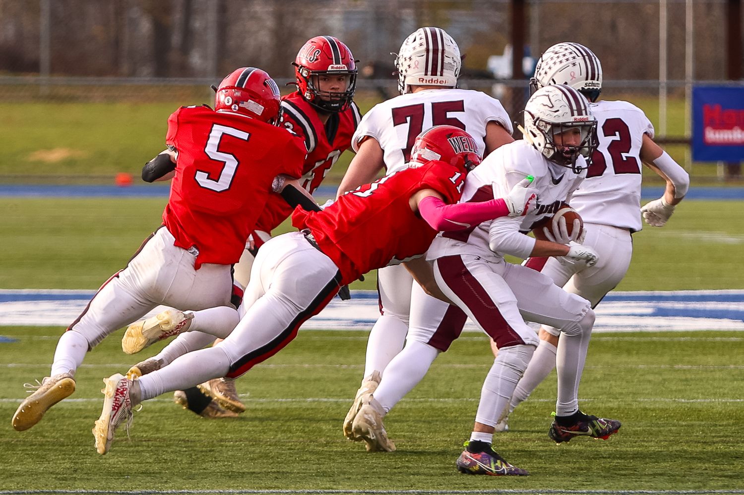 Portfolio - Amy Murphy Photography