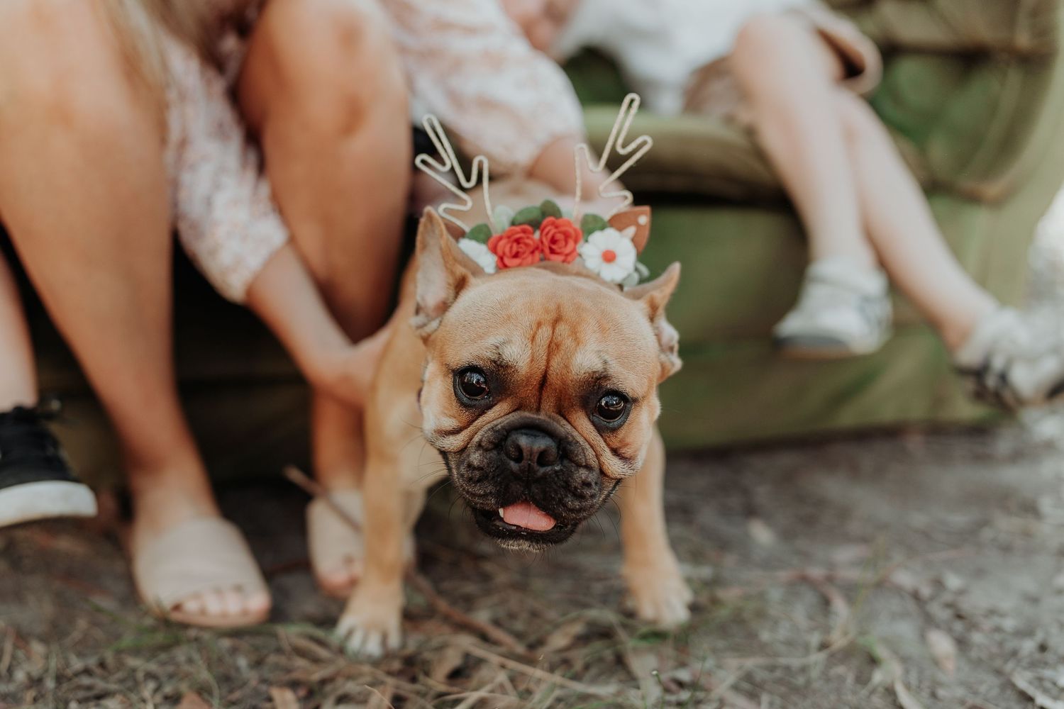 THE JOYFUL SESSIONS - These Golden Days Photography