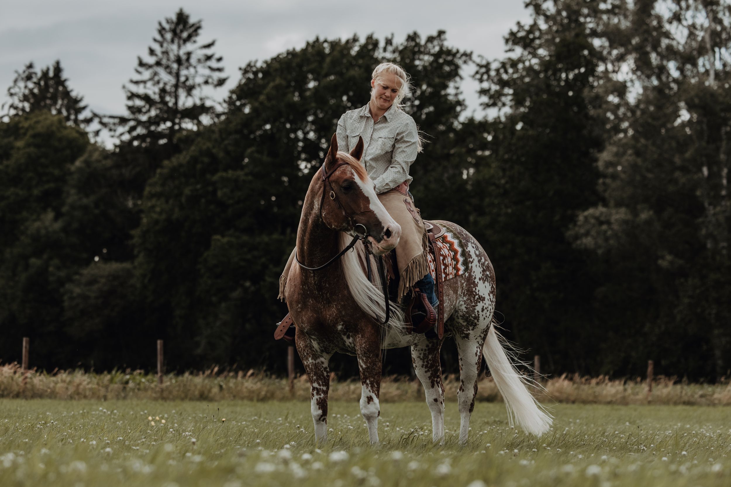 Turning Stormy Skies into Stunning Photos - Anna Archinger | Horse ...