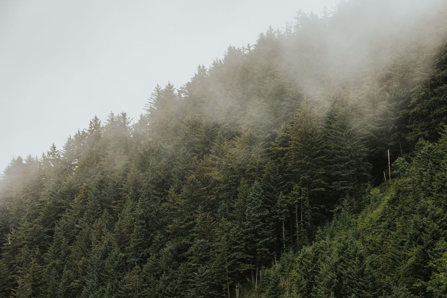 About - Tyler Staten