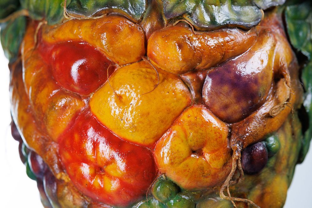 Hero Vegetable Gremlin Movie Prop - The Gremlins Museum