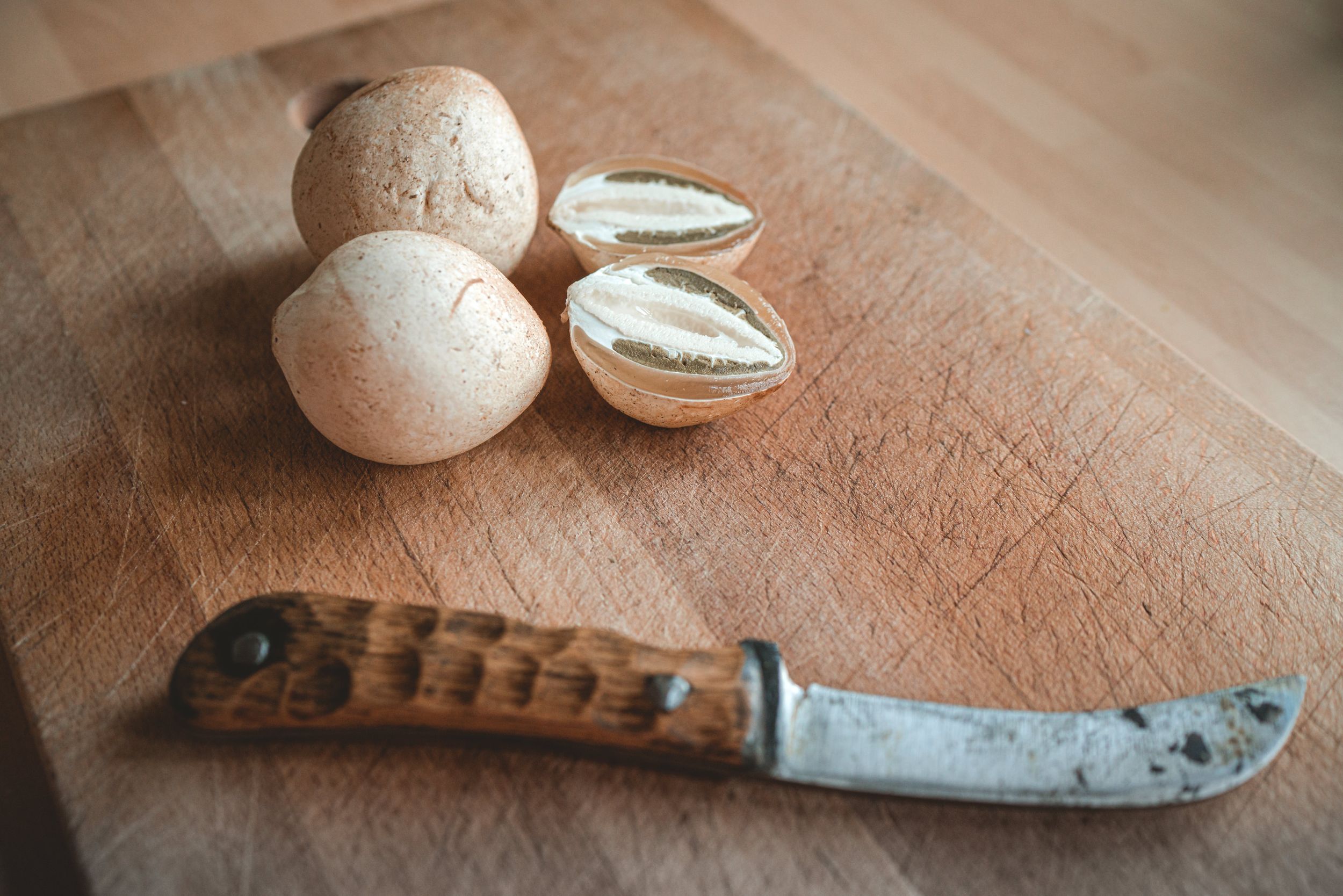 Witch's Eggs (Stinkhorn Eggs) - The Grizzly Forager: The Definitive ...