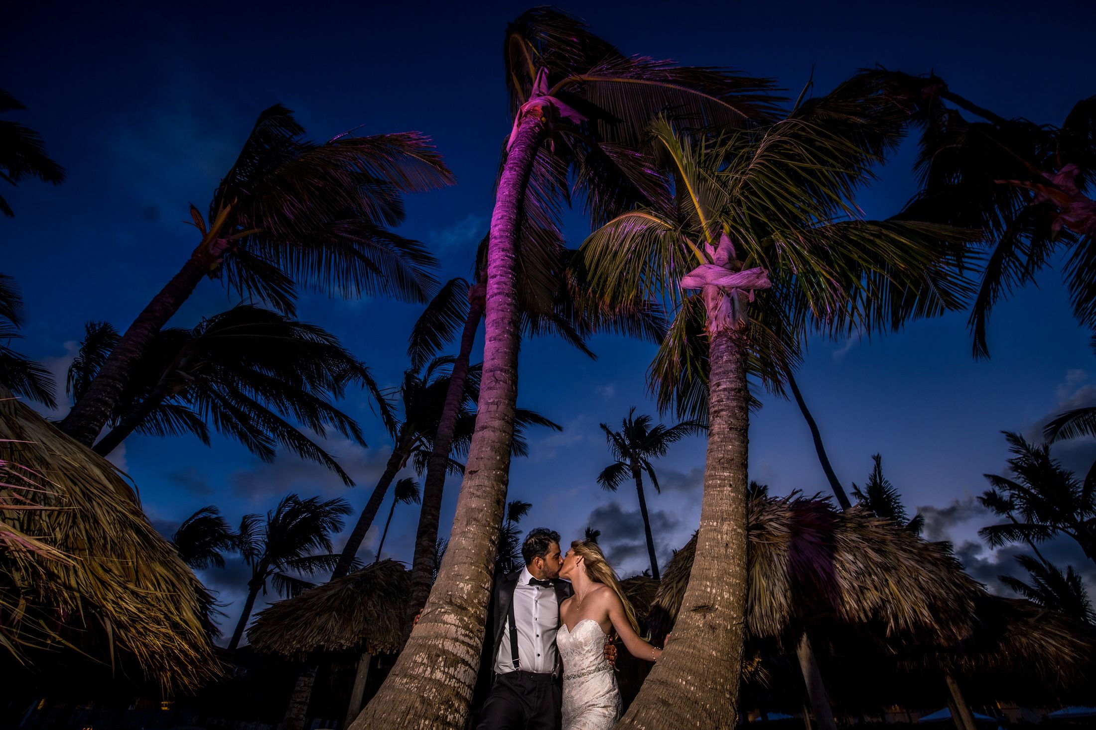 "Capturing Elegance: Jamie Dimitry Photography"