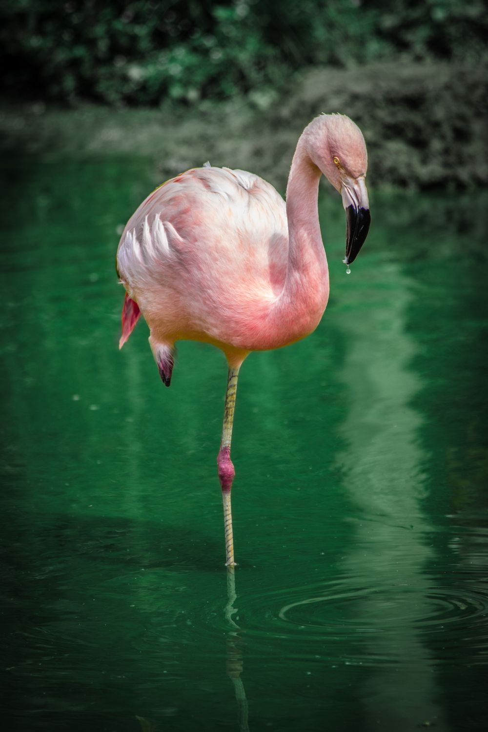 Tom Longhurst Photography