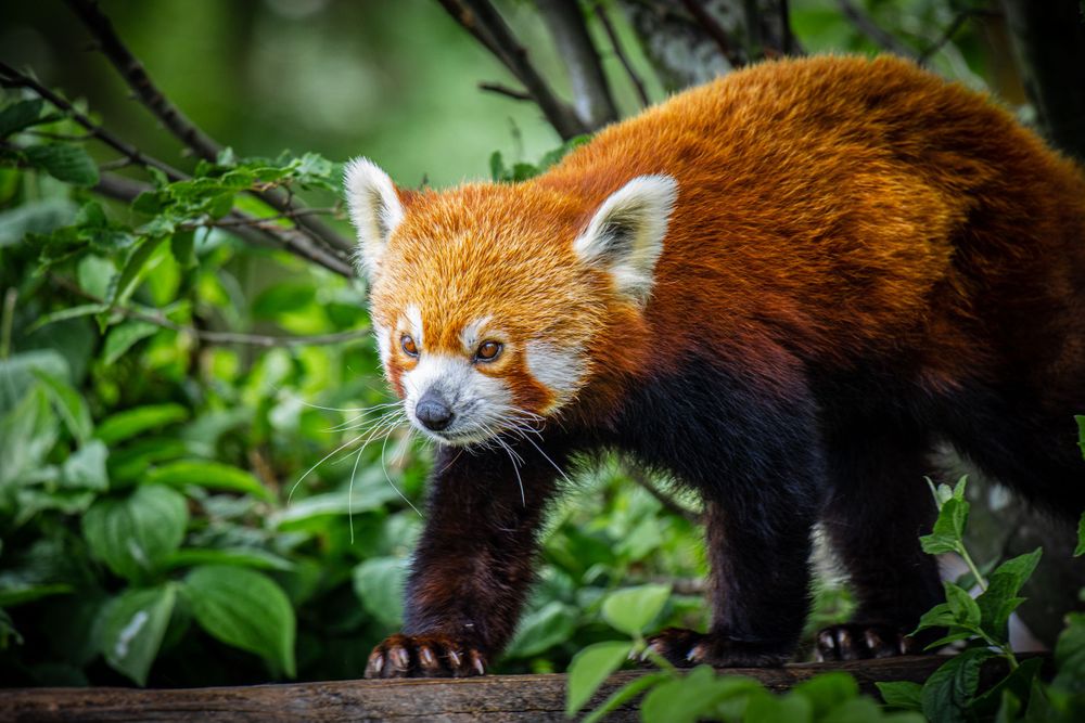 Tom Longhurst Photography