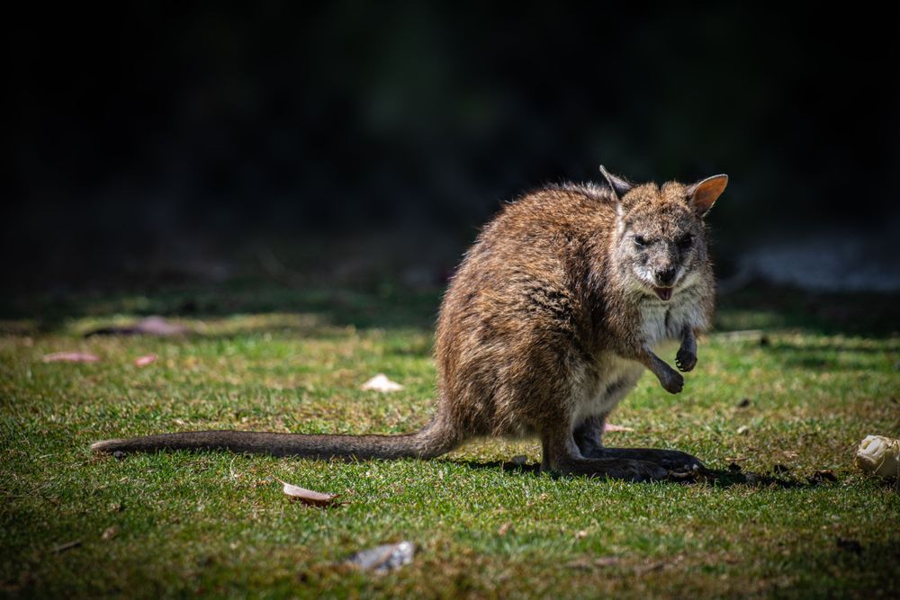 Tom Longhurst Photography