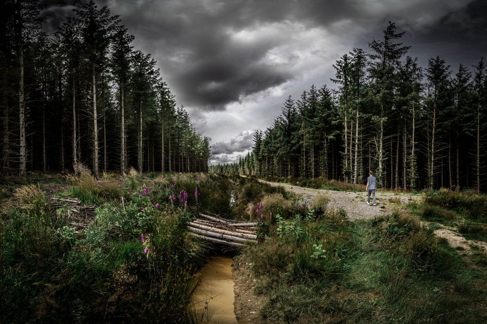 Tom Longhurst Photography