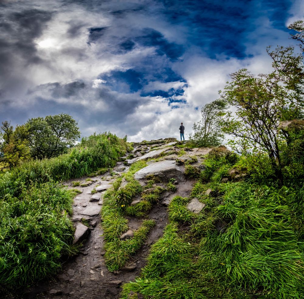 Tom Longhurst Photography