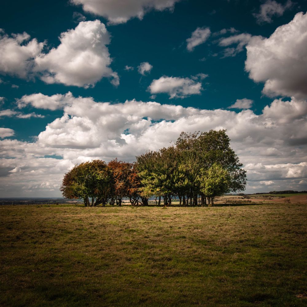 Tom Longhurst Photography