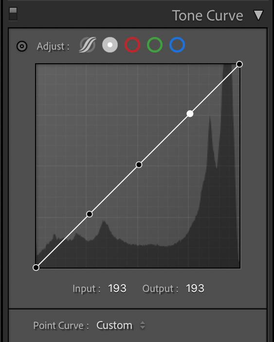 Let's Talk About Lightroom Photo Editing - Three Pod Studio