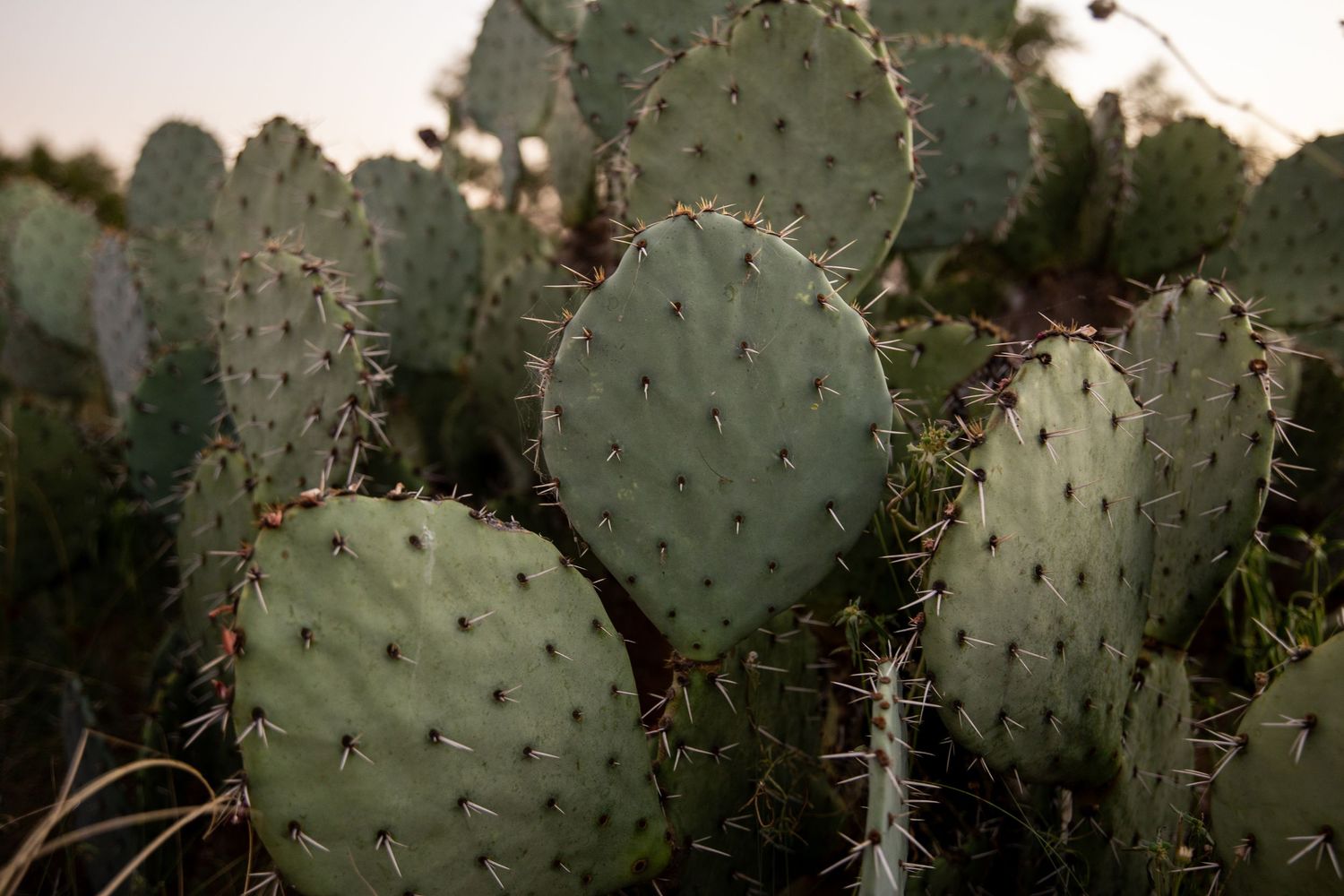 Contact - Jenny Kate Studios