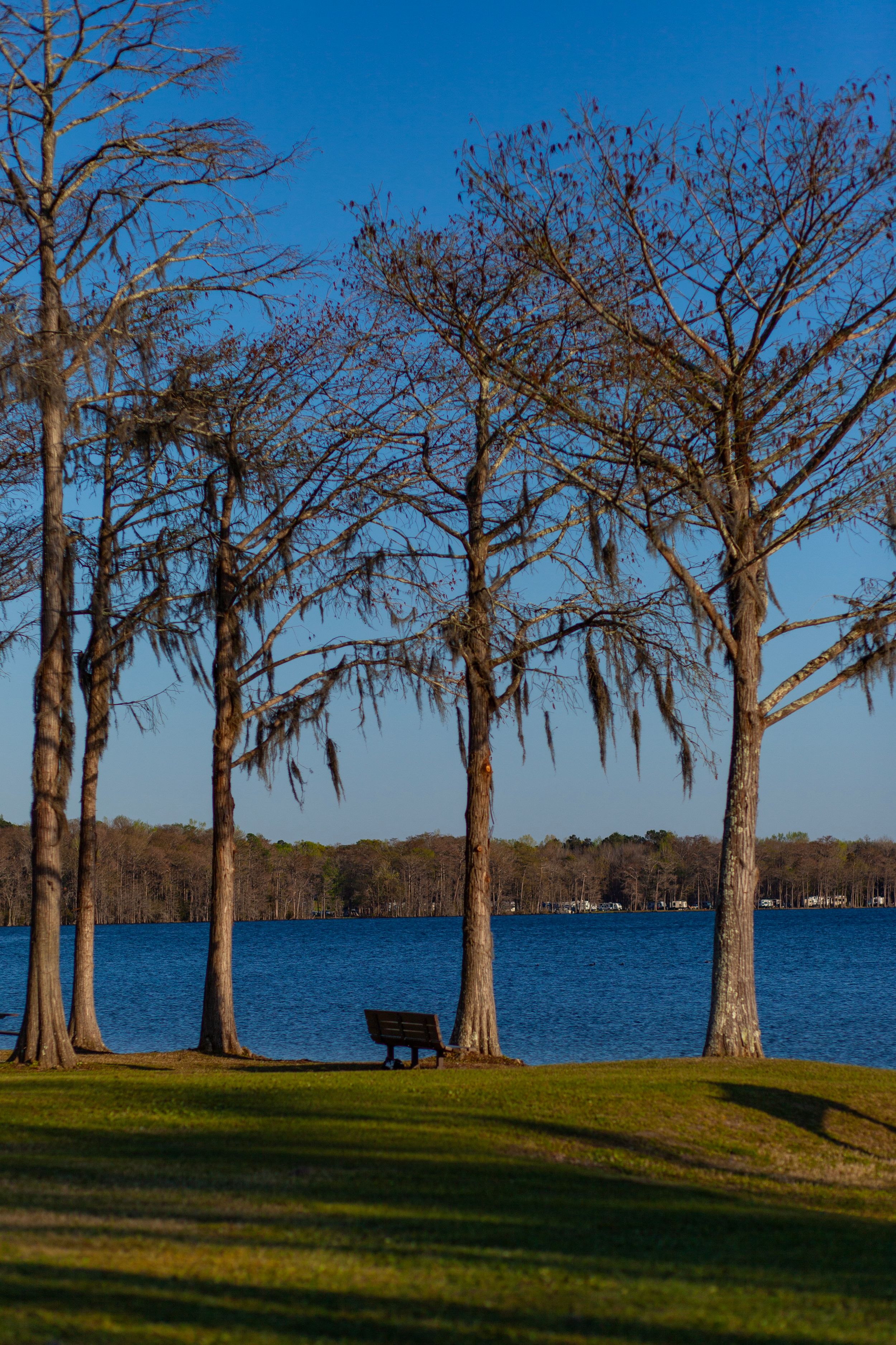Wedding - Amy Warr Photo