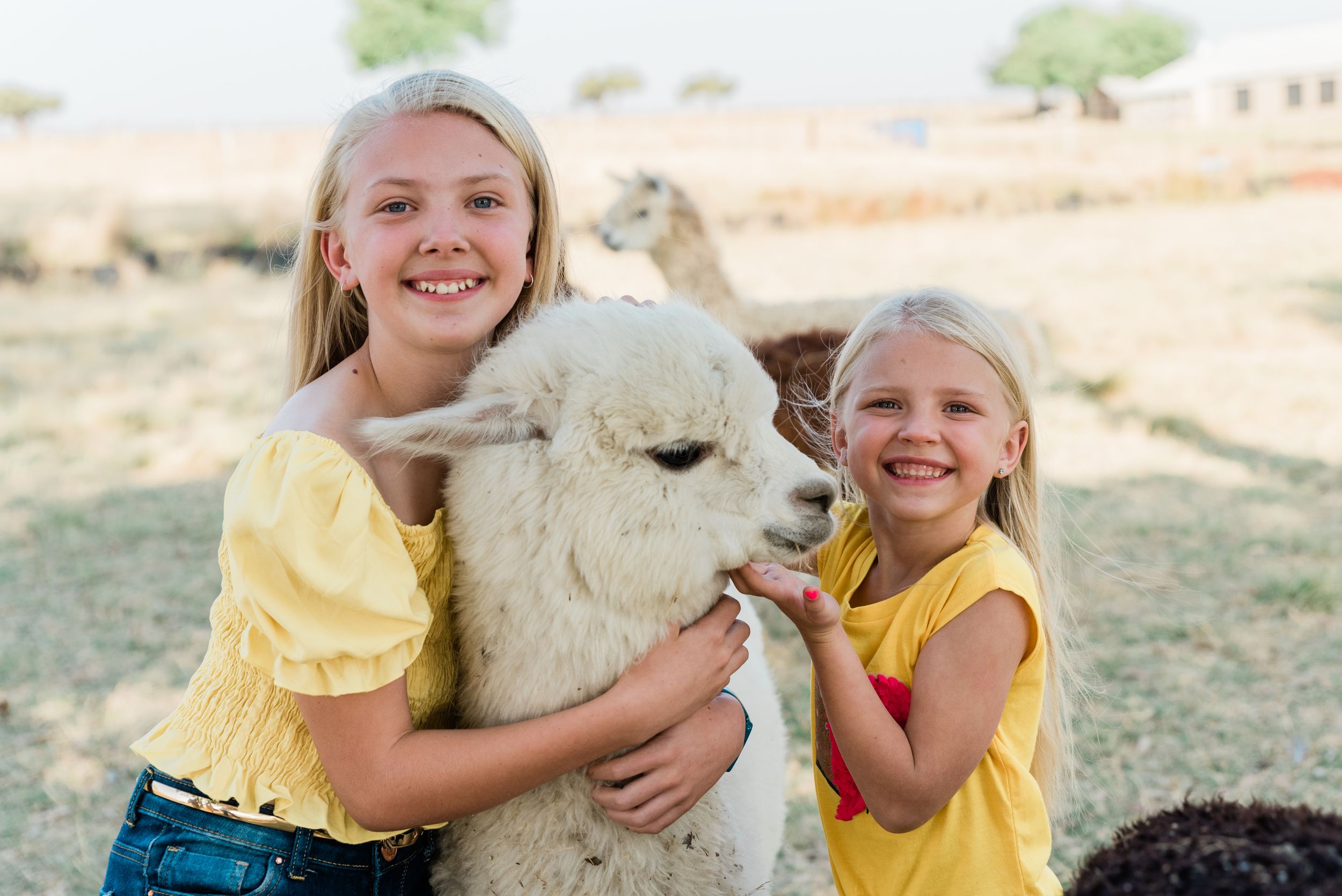 Venue Options - Libre Photography