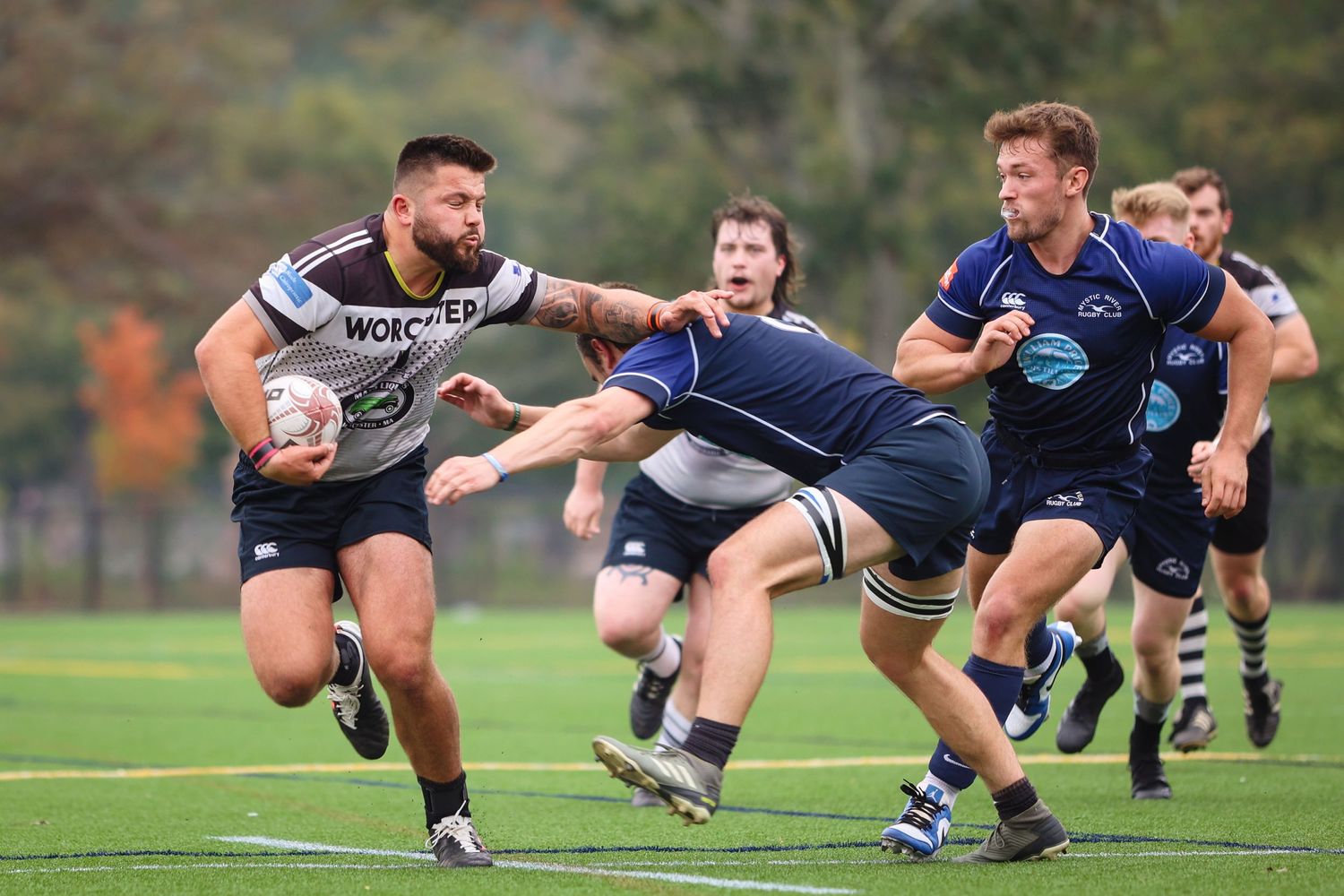 Portfolio - Ali Tousi Photos