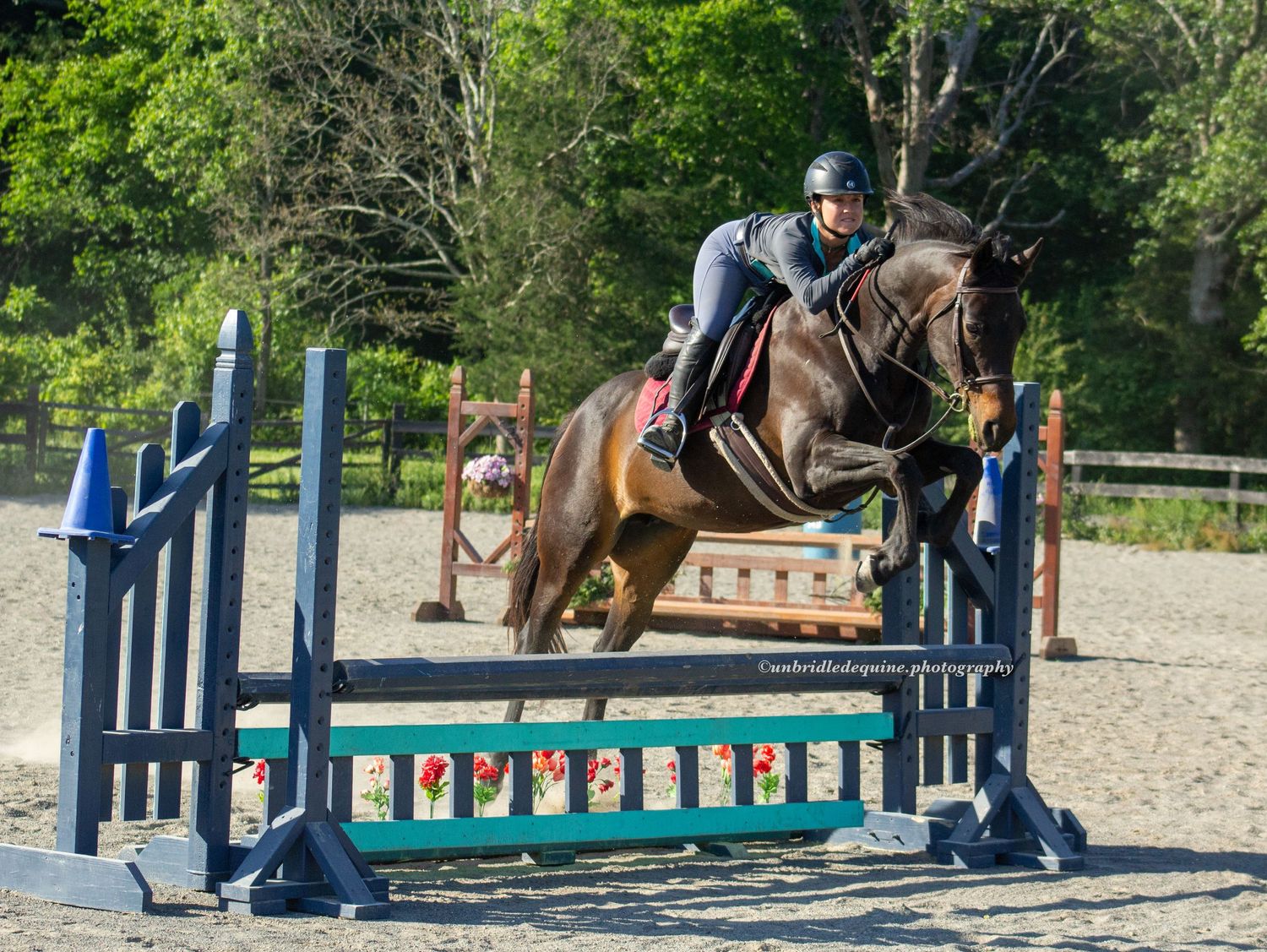 lessons - Unbridled Equine Photography