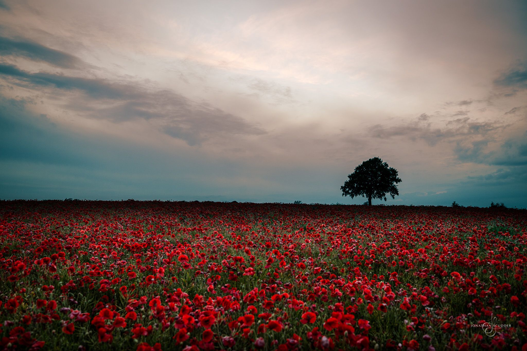 Landscapes - Scudder Photography