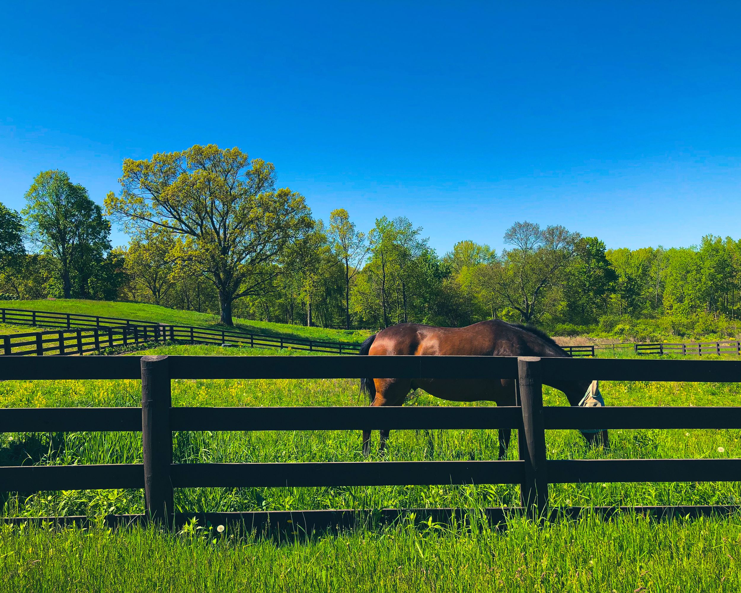 Spanish Stables on a Hill - Someplace Upstate