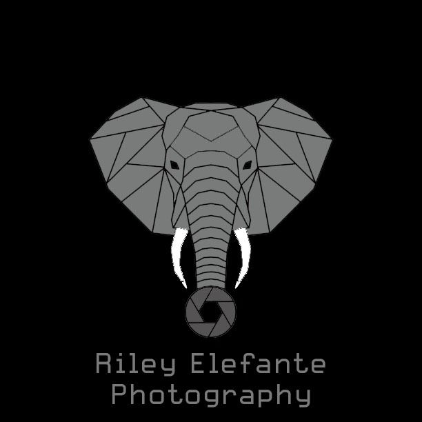 Portfolio - Riley Elefante Photography