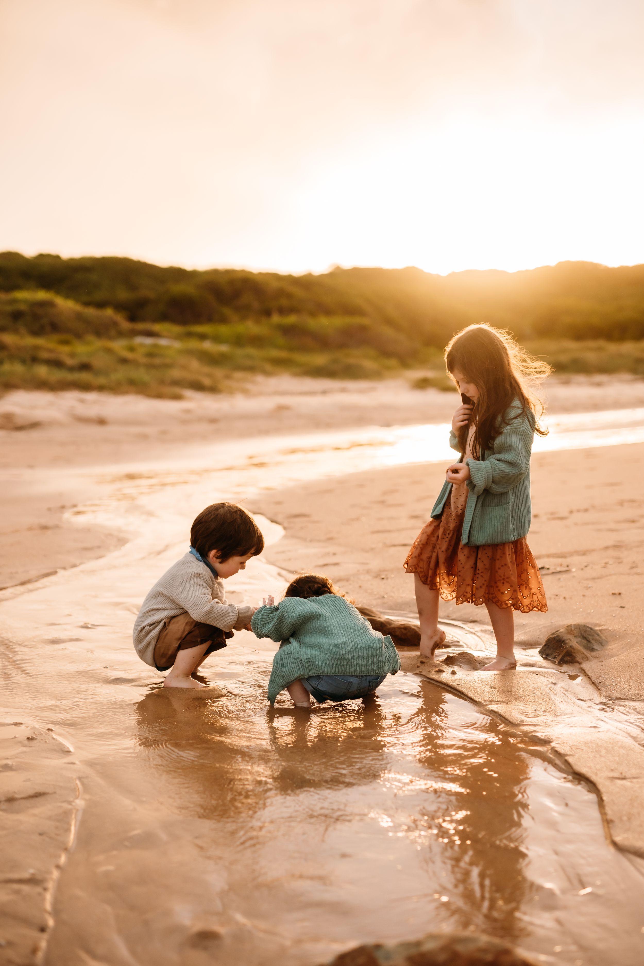 Amanda Nina Photography