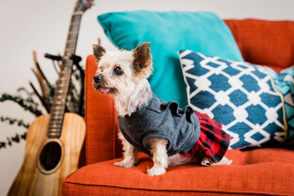 Misc Photos - Daniel Poore