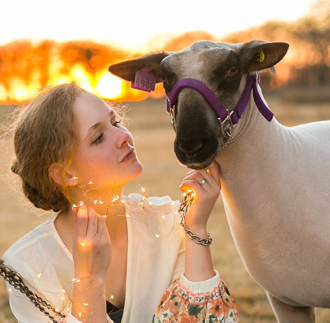 Investment - chapter2photography