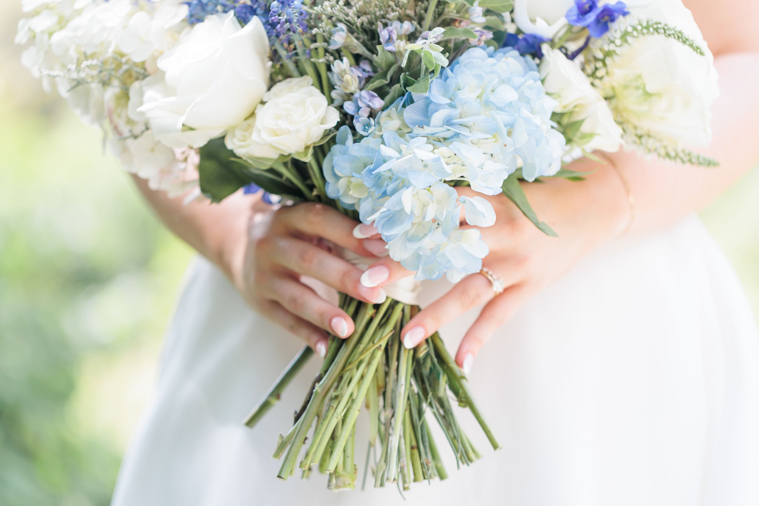 Lauren Alexa Photography