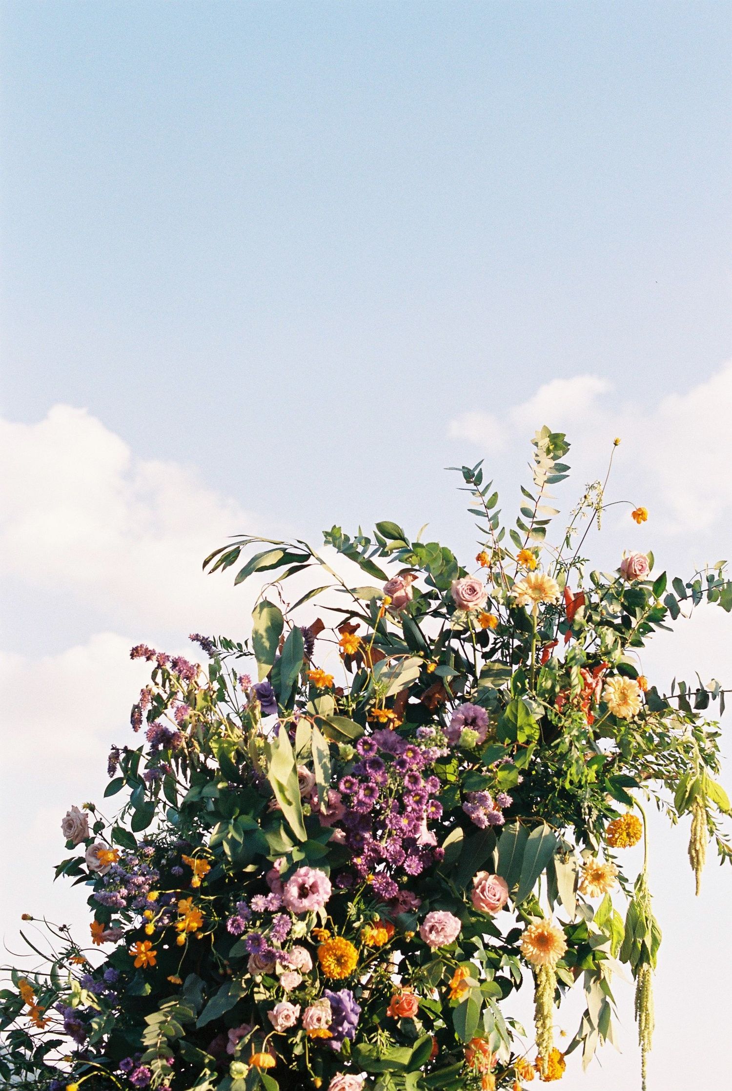 film photography - Kelly&Sue