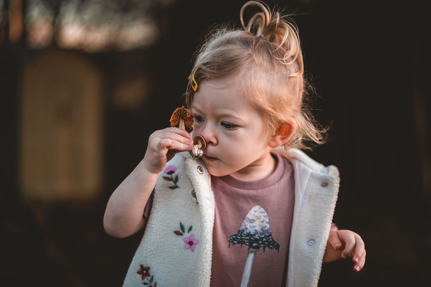 Photography Tips Blog Series #3: Focus - The Grizzly Forager: The ...