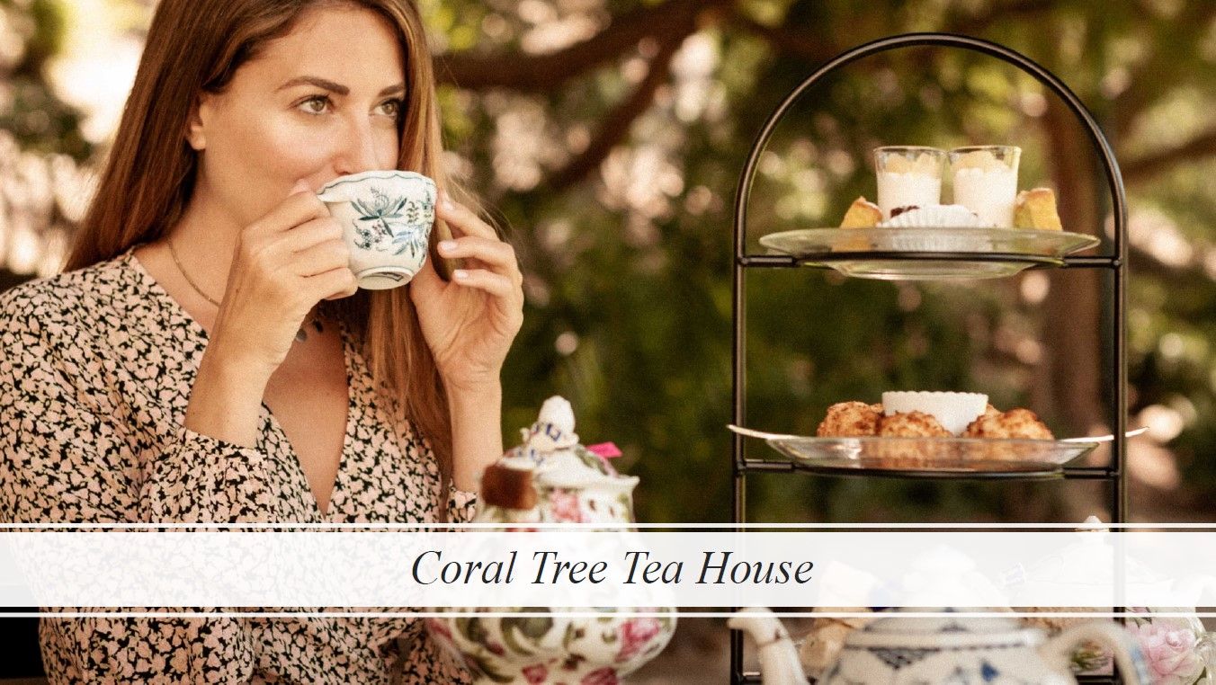 Human Factors - Cat Warren Design