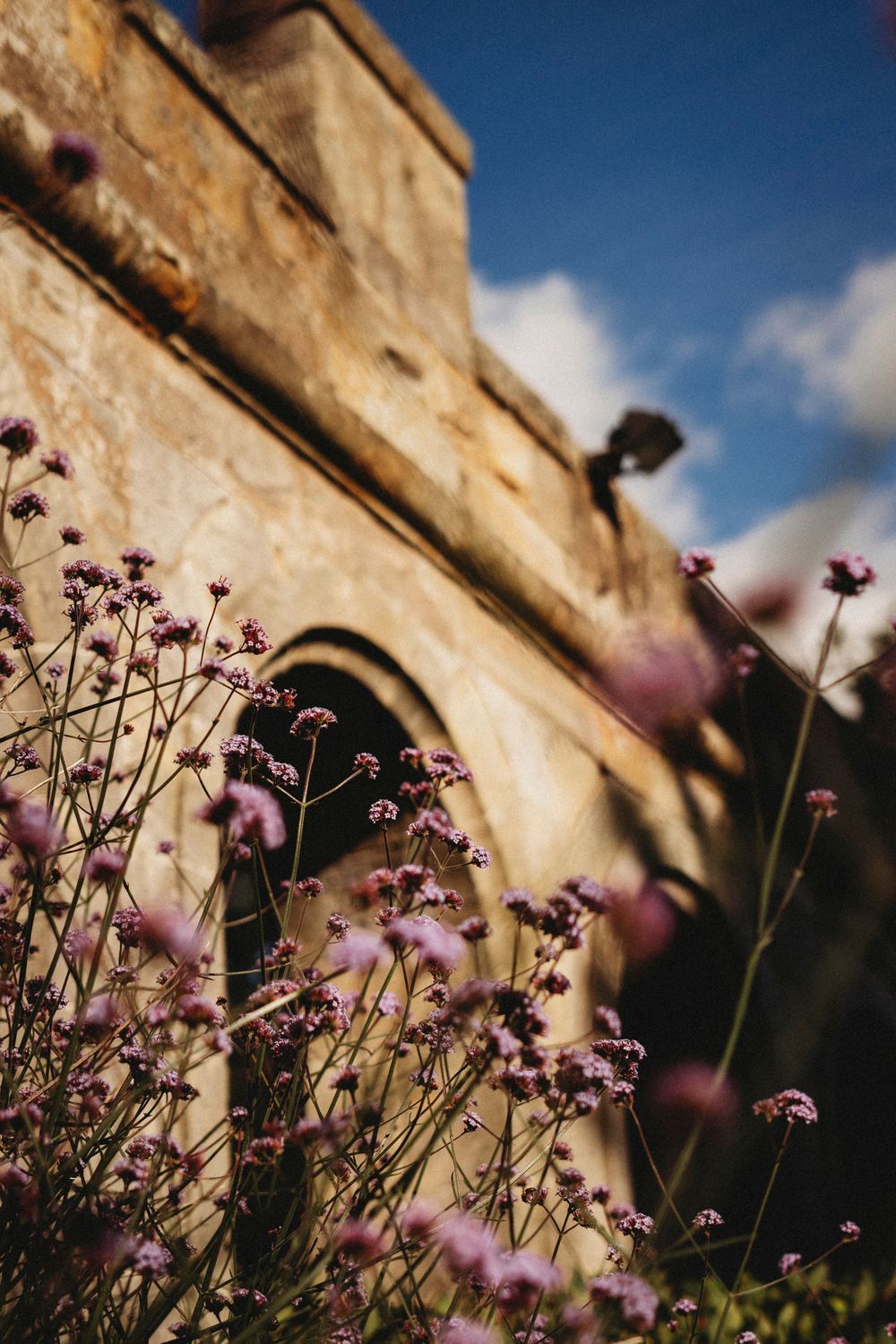 7 Best Spring Photoshoot Locations in Edinburgh & Surroundings ...
