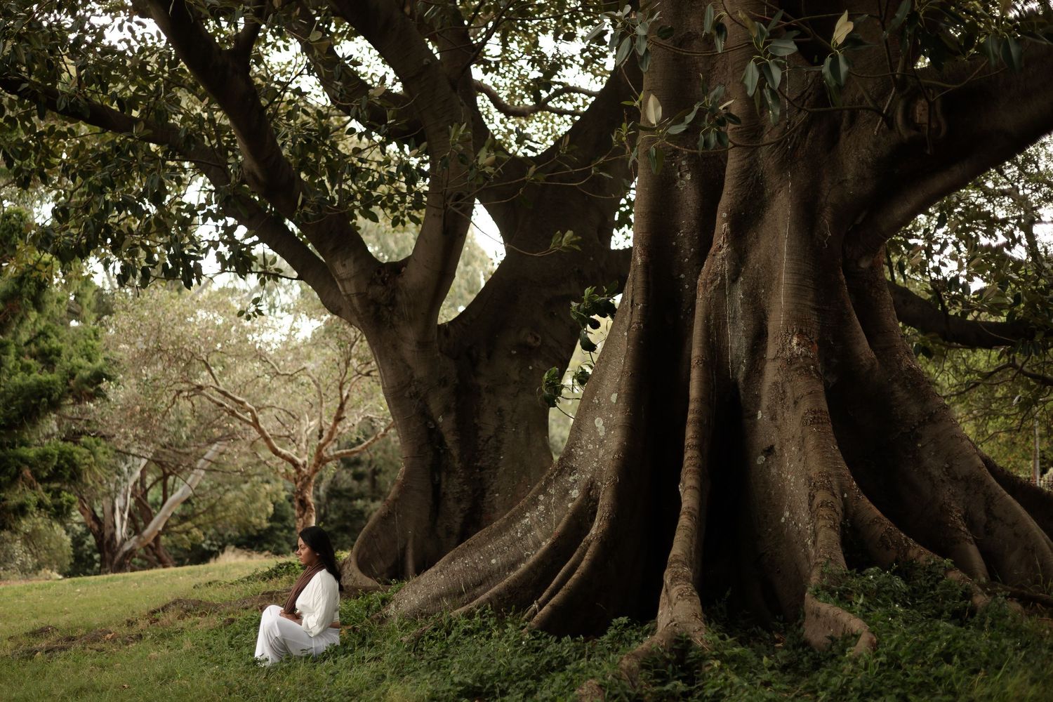 Magical Outdoor Locations to shoot in Sydney, Australia - Amanda ...