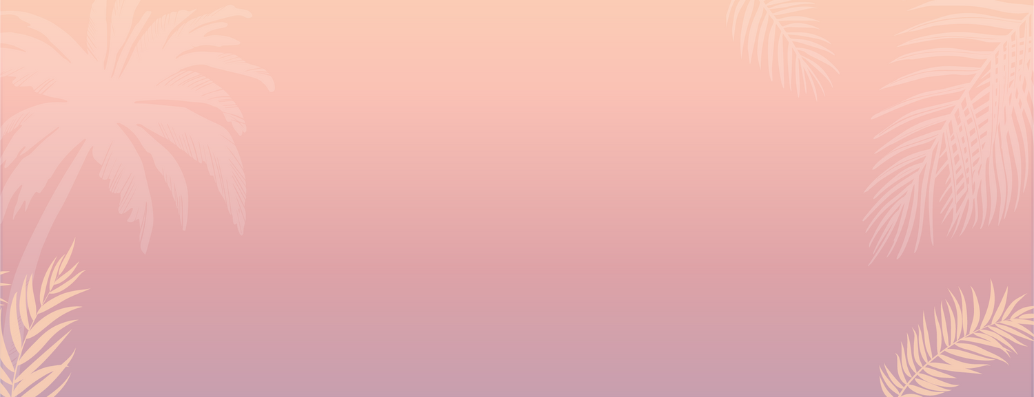 Lisa Schmidt Photography