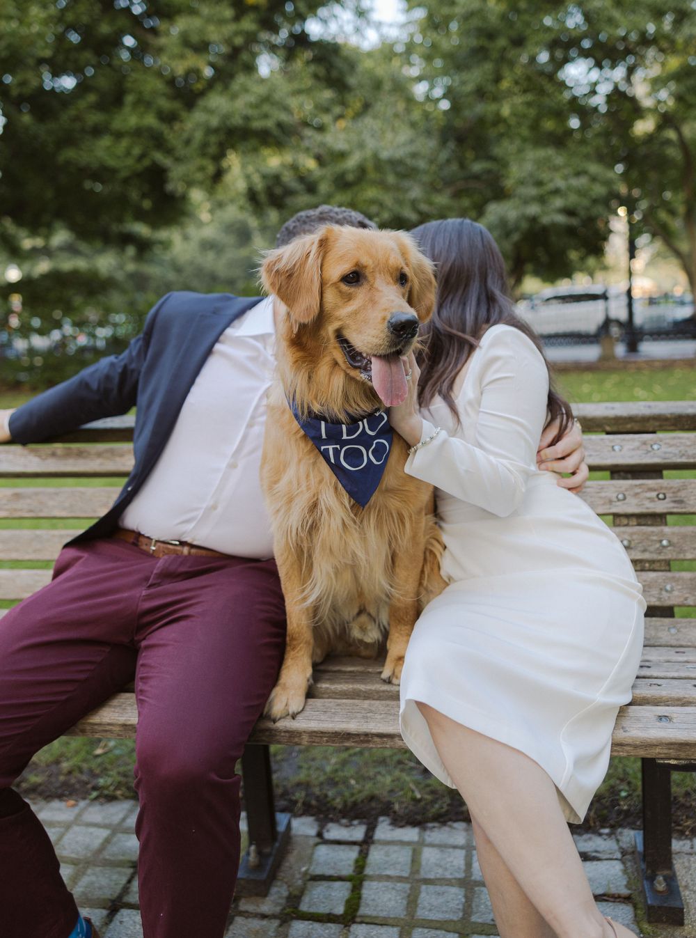 Capturing Love in the Heart of Boston: A Guide to Choosing the Perfect ...