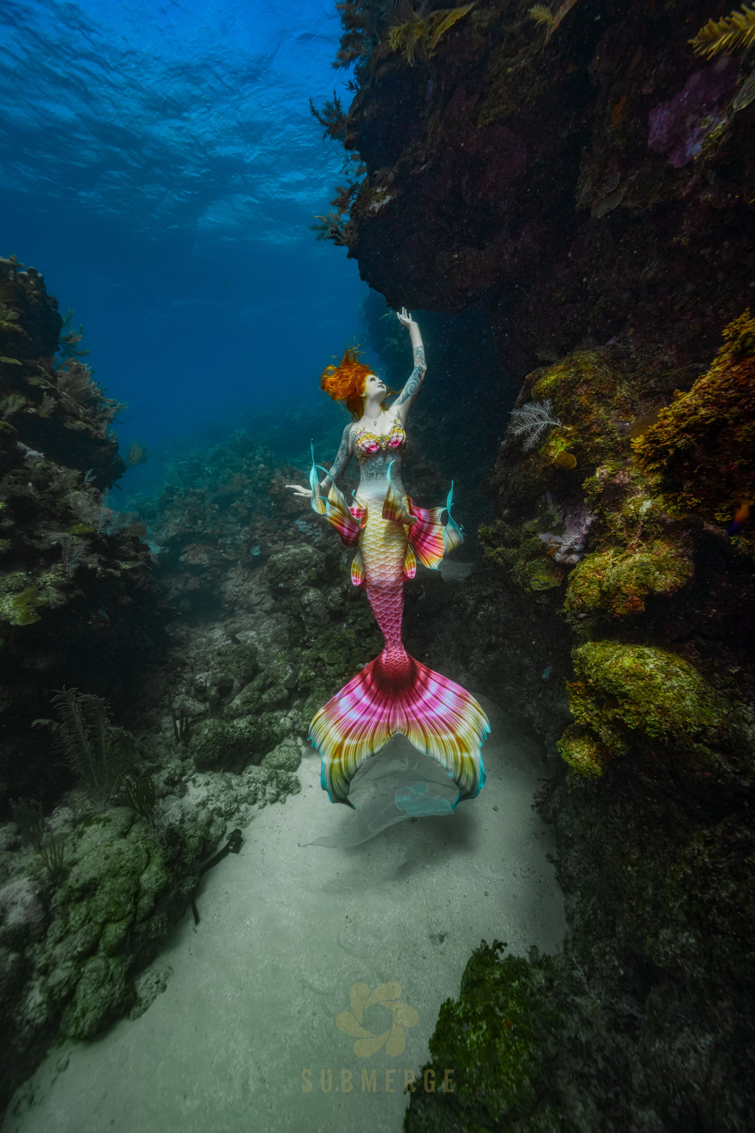 PADI Mermaid Certification – Learn to Swim, Breathe, and Move Like a ...