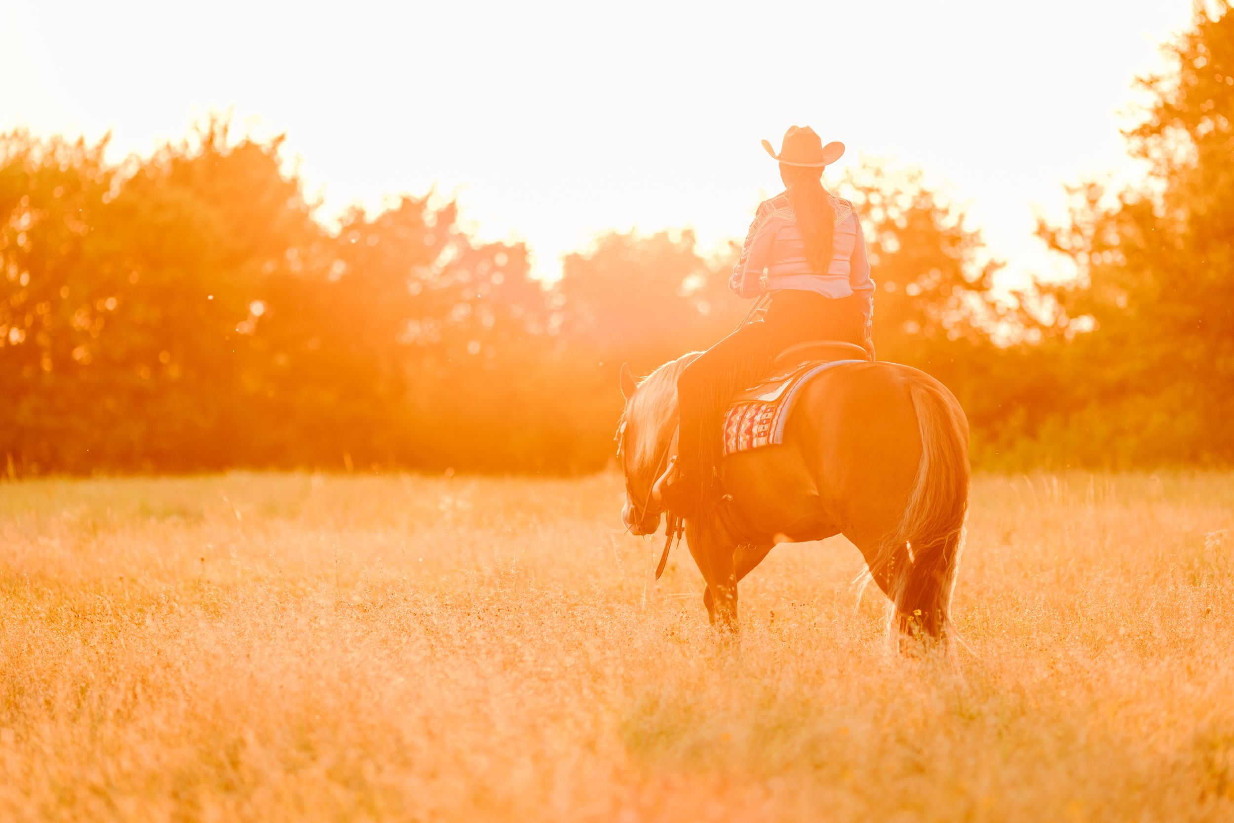 Horse + Rider Session with Miss Rodeo USA - Anna Woolsey - Tulsa, OK